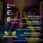 BOX SETS Archives - MOSCA SEEDS
